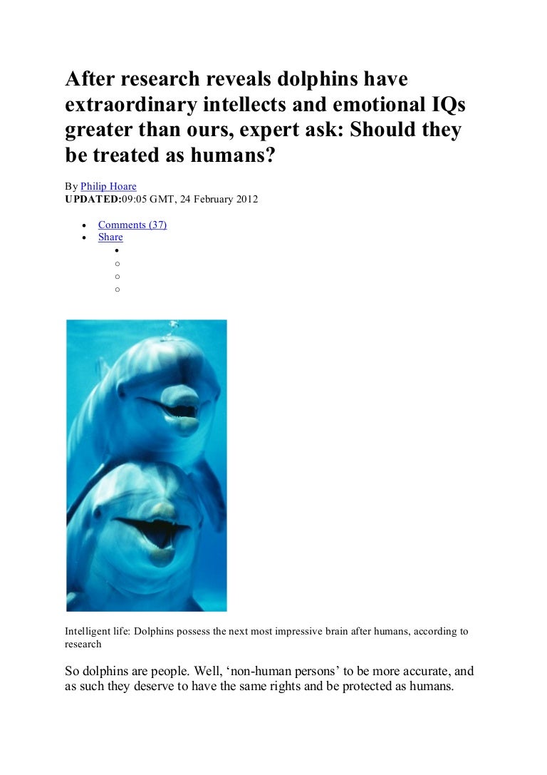 After research reveals_dolphins_have_extraordinary_intellects_and_emo…