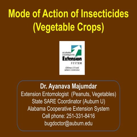 Insecticides for Vegetable Production 2011 | PPTX