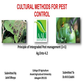 Cultural methods for pest control . pptx | PPTX