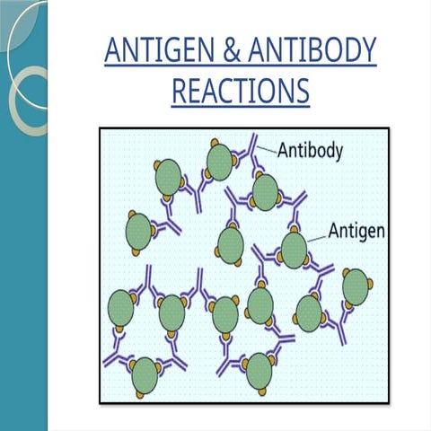 ag ab reaction.pptx ...