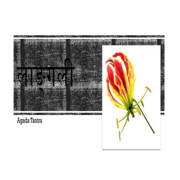 लाङ्गली agada presentation toxicology ppt | PPTX