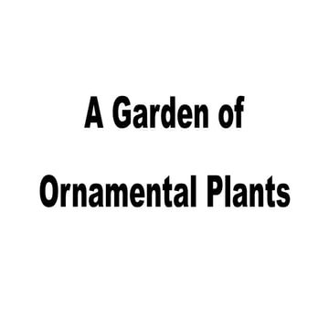 A Garden of Ornamental Plants | PPTX