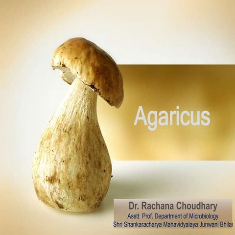 Agaricus | PPTX