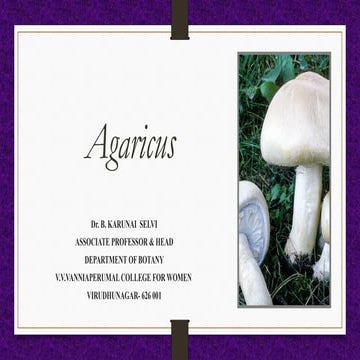Agaricus | PPTX
