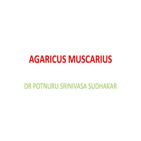 AGARICUS MUSCARIUS.pptx Keynotes by H.C. Allen | PPTX
