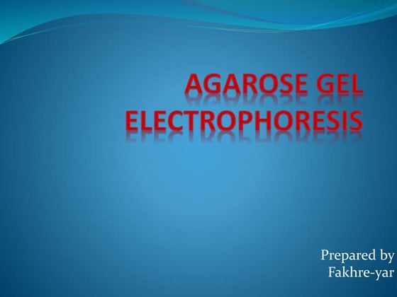 Agarose gel electrophoresis | PPTX | Chemistry | Science