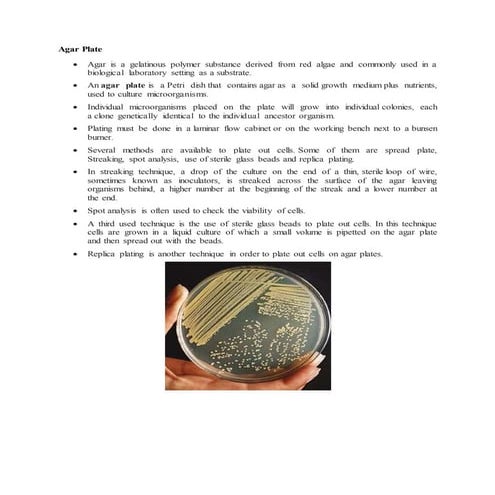 Agar plate | DOCX | Chemistry | Science
