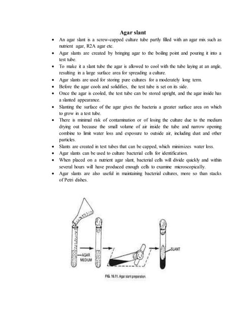 Calculating bacterial growth | PDF