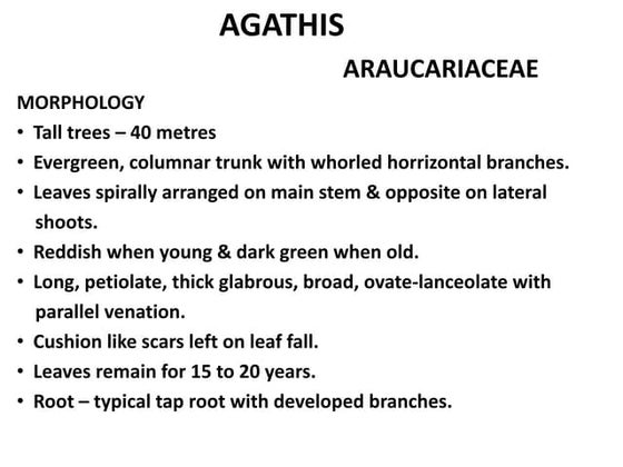 Morphological, anatomical and reproductive characters of Marchantia ...