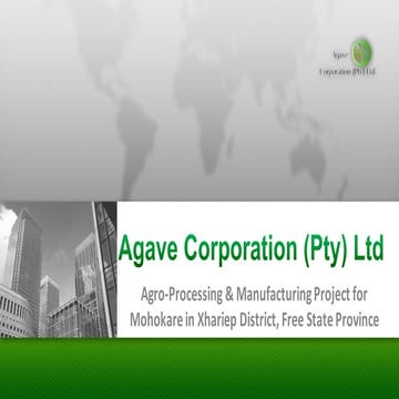 Agave project presentation 2017 | PDF | Agriculture | Industries