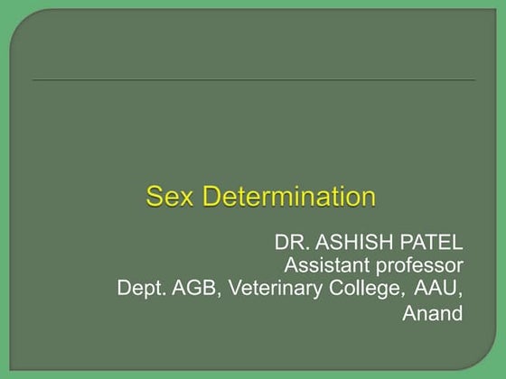 Sex Determination Chromosomal Theory Of Sex Determination Pptx