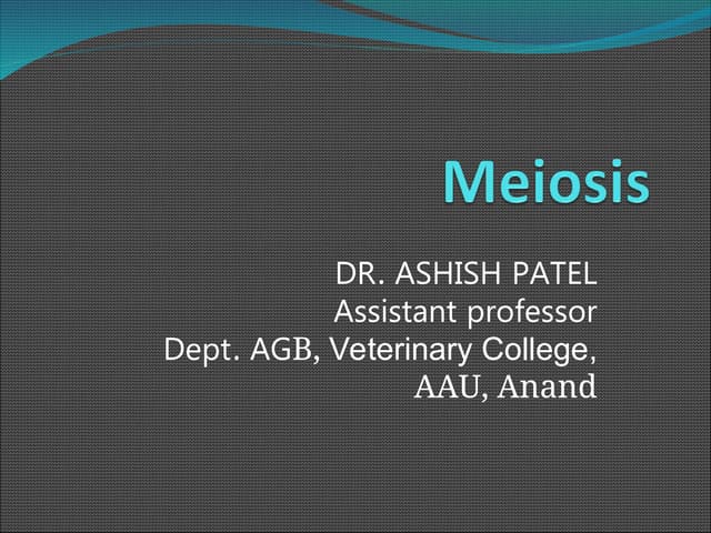 Meiosis Ppt Ppt