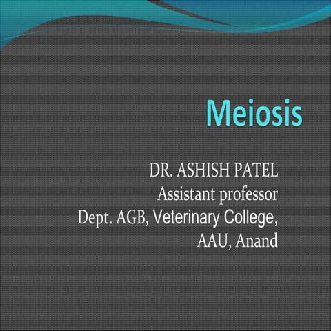 Meiosis.ppt.. | PPT