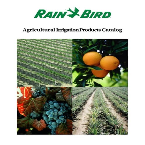 Catalogo de Irrigação da Rainbird - Ingles | PDF