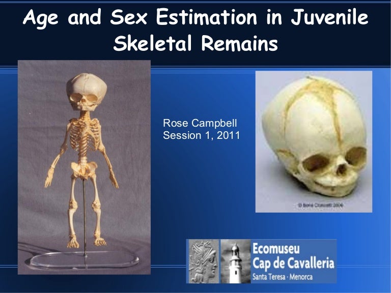 Session No 1 2011 Age And Sex Estimation In Juvenile Skeletal Rema…