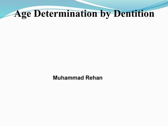 Animal Safety.pptxrrrrrrrrrrrrrrrrgggggggggggggh | PPTX