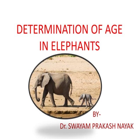 Ageing in elephants | PPTX