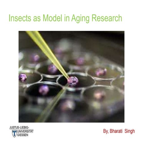 Insects as Model in Aging Research | PPT