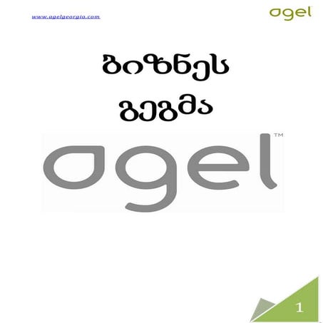 Agel ბიზნეს გეგმა | PDF