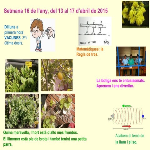 Agenda setmana 16-abril15 | PPT