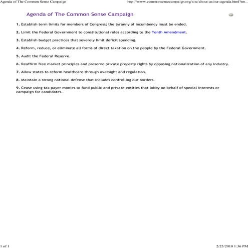 Agenda Of The Common Sense Campaign | PDF