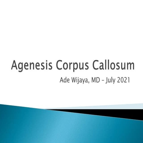 Agenesis Corpus Callosum | PPT
