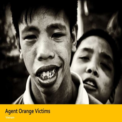 Agent Orange | PPT