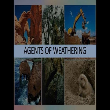 AGENTS OF WEATHERING.pptx