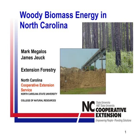 Agent Training Woody Biomass Megalos | PPT