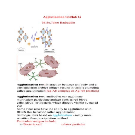 Agglutination test class 5.docx.pdf