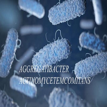 Aggregatibacter actinomycetemcomitans.pptx