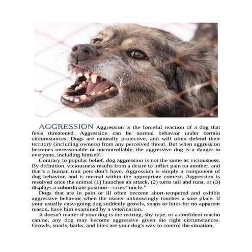 Aggression is the forceful reaction of a dog | PDF | Free Download