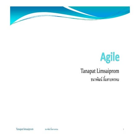 Agile Pdf