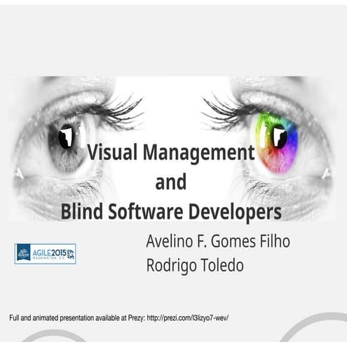 Visual Management and Blind Software Developer | PPT