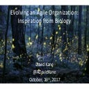 Biological Metaphors for Agile Organizations | PPTX