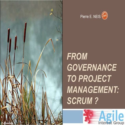 Agile Governance | PPTX
