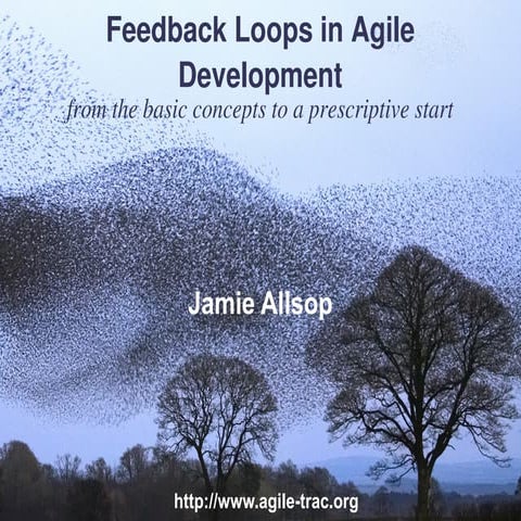 Feedback Loops in Agile Development | PDF | Web Development | Internet