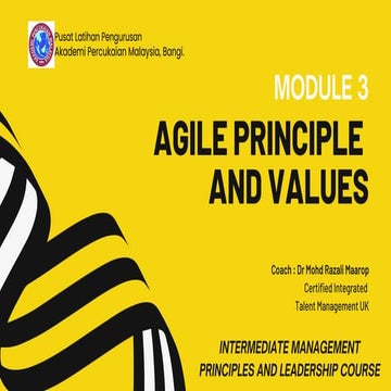 AGILE PRINCIPLE AND VALUES IN ORGANIZATION | PDF