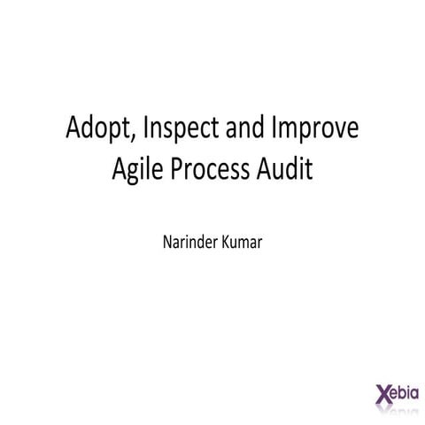 Agile Process Audit Pdf