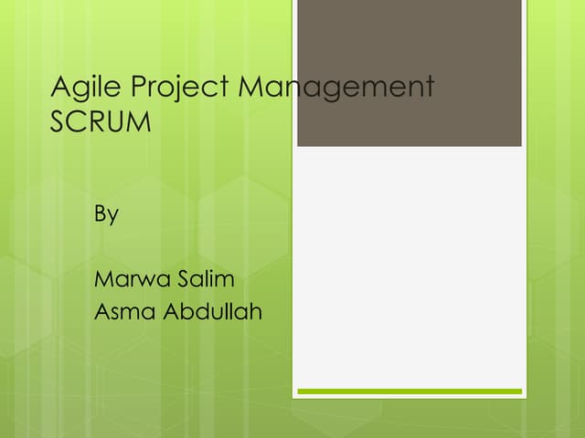 Agile Project Management Ppt