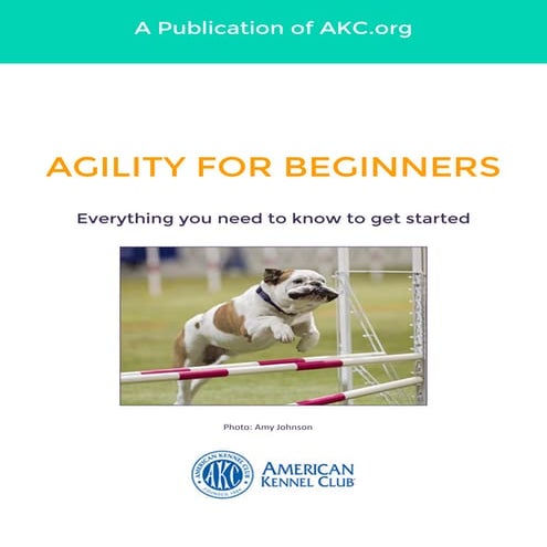 Dog Agility for Beginners | PDF