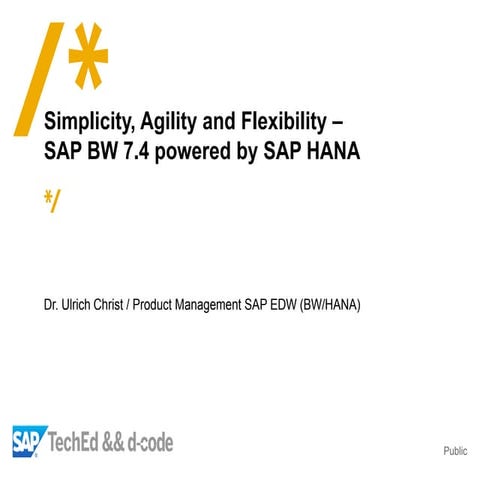 Agility in the BW environment (sitNL) | PDF