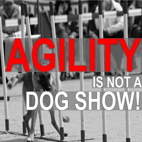 Agility is not a dog show | PPTX