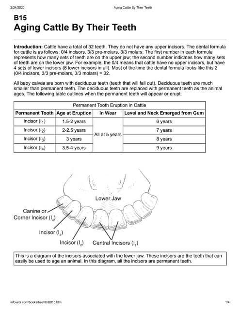 Dentition of sheep and goat | PPTX | Dental Health | Diseases and Conditions
