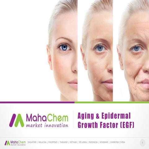 Aging and Epidermal Growth Factor (EGF) | PPTX