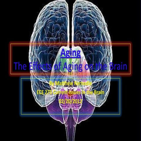 Fotuhi - Neuroplasticity - Harvard course | PPTX