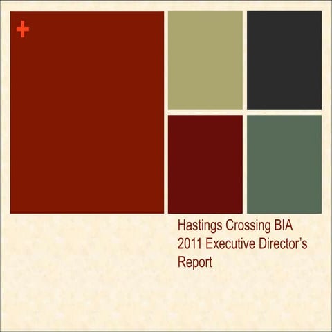 2010 bia agm presentation | PPTX