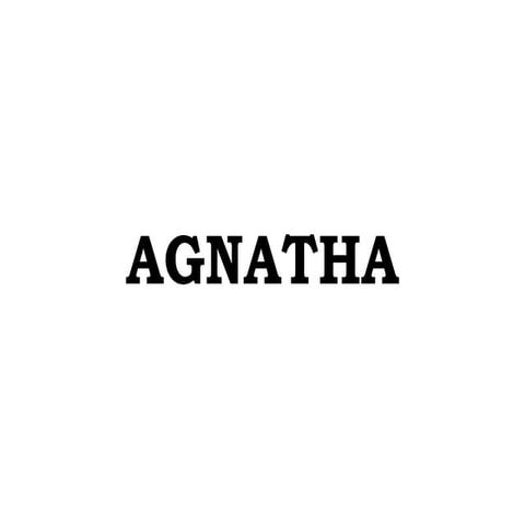 Agnatha - ciclostomados lampreia e peixe bruxa | PDF