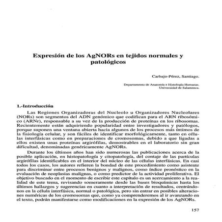 Agnor | PDF
