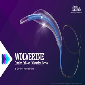 Agostoni - 2024 EuroCTO 2024 - Wolverine Cutting Balloon Rota combine.pdf